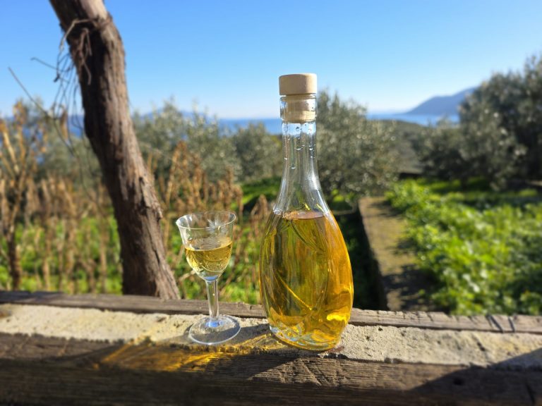 Liker Lemoniou, der griechische Zitronentraum - Hellas Bote